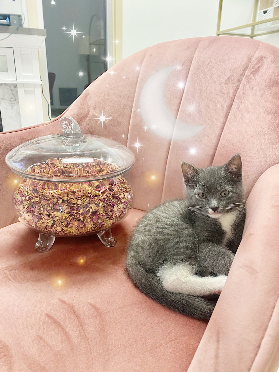 Large Glass Cauldron – Lunastry